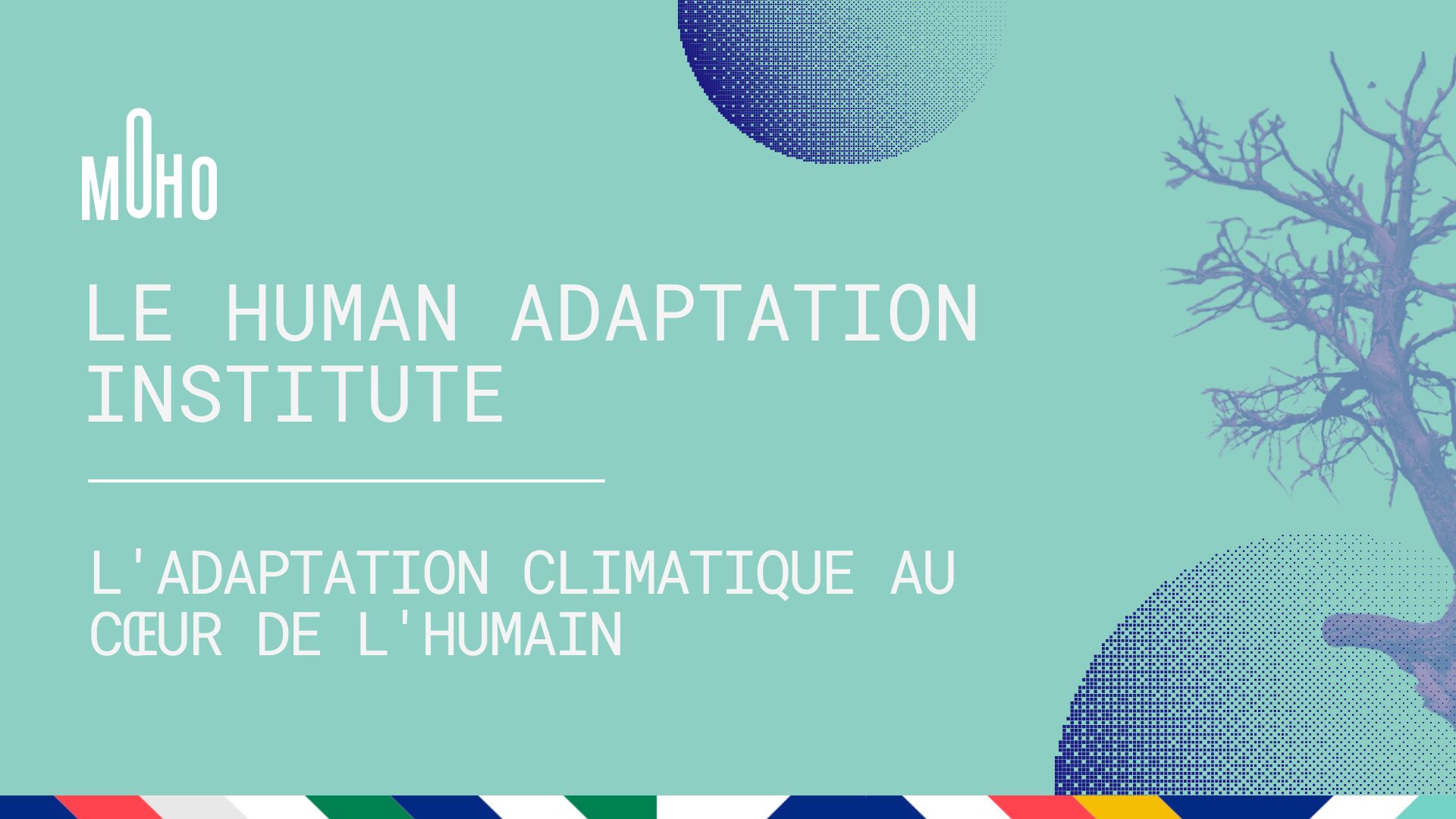 Le Human Adaptation Institute : l'adaptation climatique au cœur de l ...